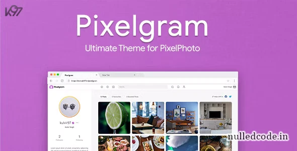 Pixelgram v1.6 - The Ultimate PixelPhoto Theme » nulled#code / free scripts for all